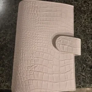Gillio | Office | Nwt Gillio Firenze Matte Blush Pink Croco Compagna ...
